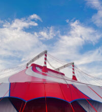 El Gran Circo de Franccesco – Franccesco – Sitio Oficial